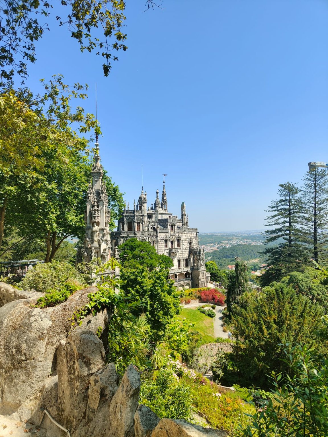 Case Study | Audi Lisboa 2025 | Reed & Mackay